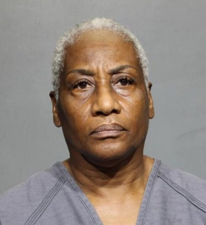 Florida Woman Arrested for Running Over Baby Ducklings