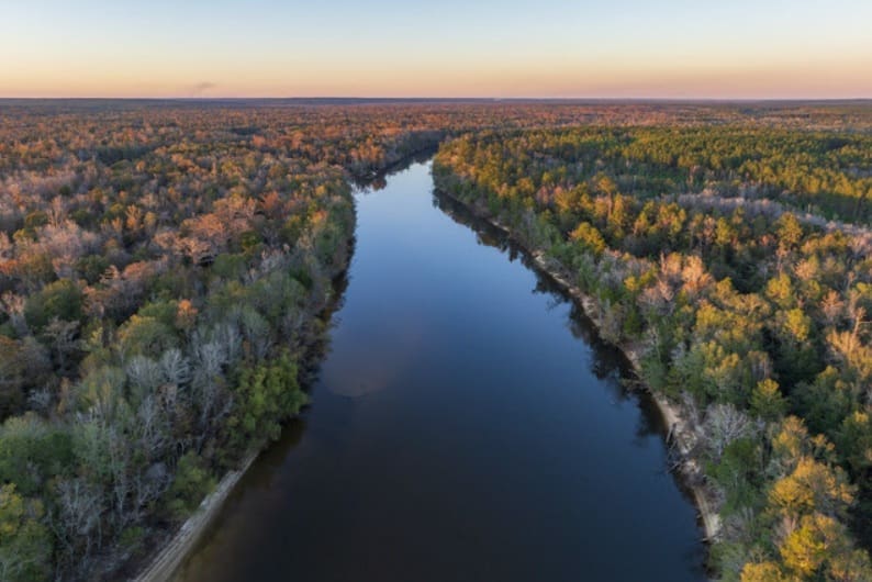 More Than 10,000 Acres Conserved in Northwest Florida